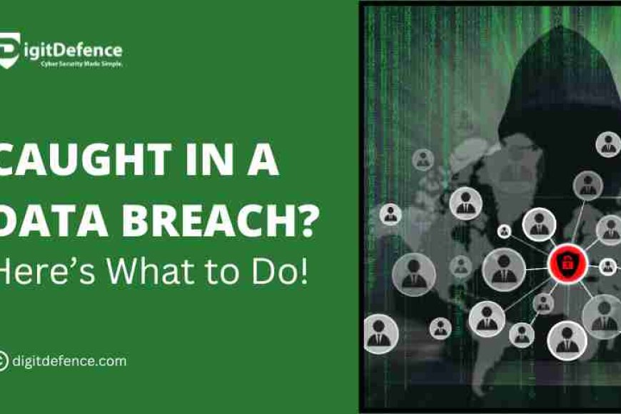 How to Handle Data Breaches in Cyber Security Effectively - Digitdefence